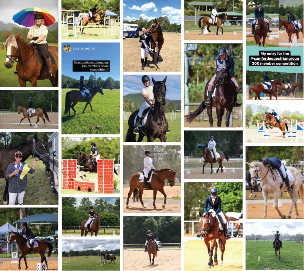 Show Jumping Photo Competition – Samford Equestrian Group